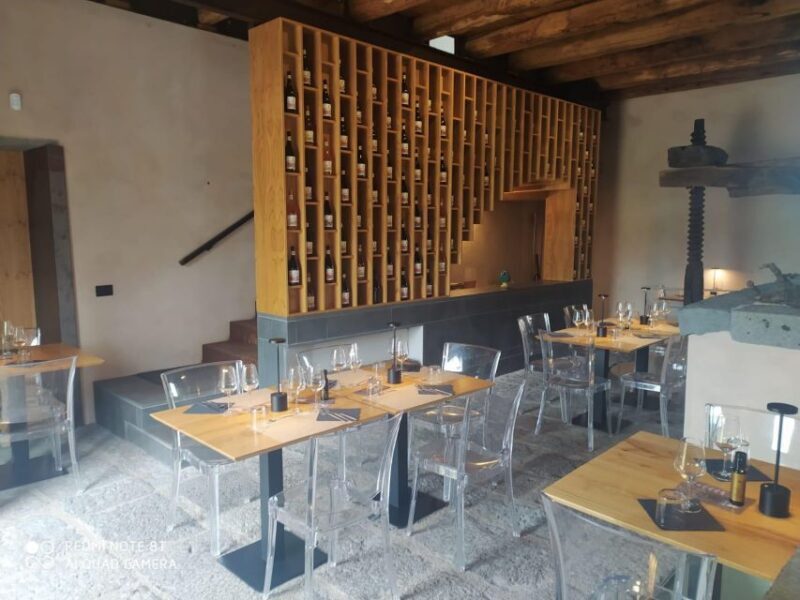 Wine tour with wine tasting - Final Thoughts