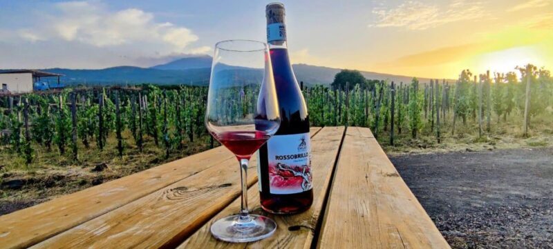 Wine tour with wine tasting - FAQs
