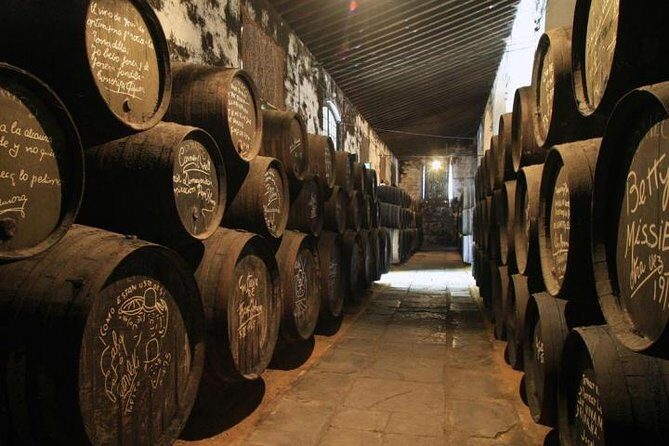 Wine Tourism Half Day Tour - Exploring the Itinerary in Detail