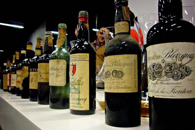 Wine Tourism Half Day Tour - Is This Tour Worth It?