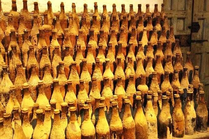 Wine Tourism Half Day Tour - The Sum Up: Is It Worth Your While?