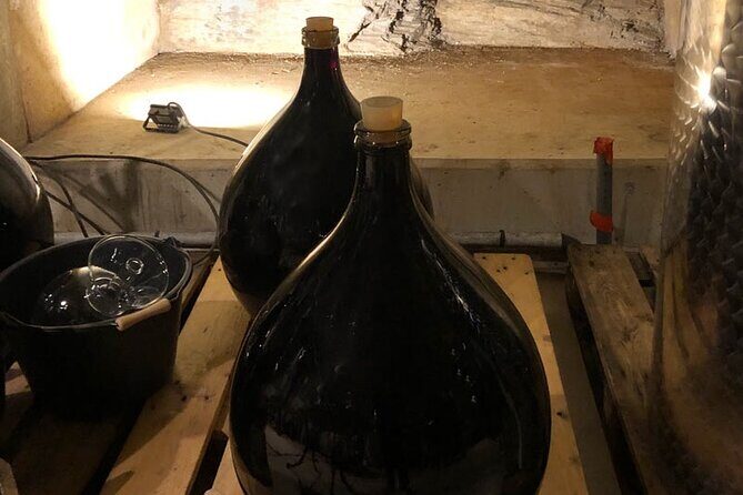 Wine Tours and Tastings from Béziers - What Travelers Love About This Tour