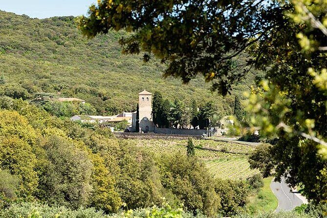 Wine Tours and Tastings from Béziers - Who Should Consider This Tour?