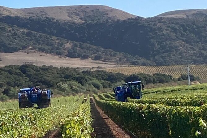 Wine Tours One - The Sum Up: Is It Worth It?