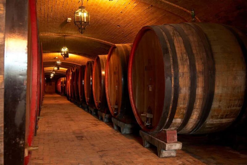 Wine Tour&Tasting THE SELECTIONS - Key Points