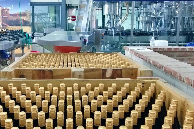 Wine Trails Private Tour/ Nemea visit 3 wineries from Athens or Nafplion (10 h) - An In-Depth Look at the Tour Itinerary