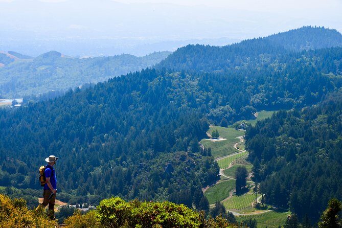 Wine & Wellness Tour in Napa Valley - Why This Tour Works for Travelers