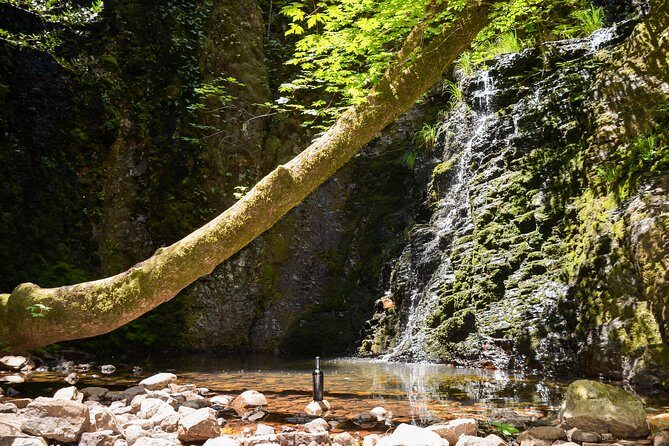 Wine & Wellness Tour in Napa Valley - FAQs