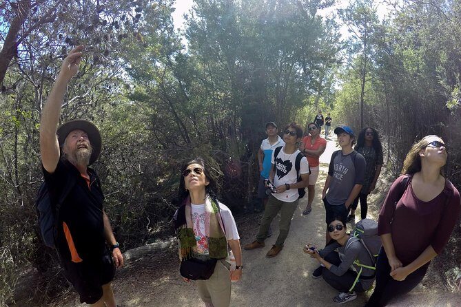 Wineglass Bay Beach Hike Active day tour - Frequently Asked Questions (FAQs)