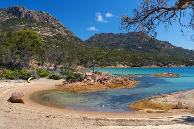 Wineglass Bay & Freycinet National Park Day Trip from Hobart - Food and Wine: A Tasty Finish