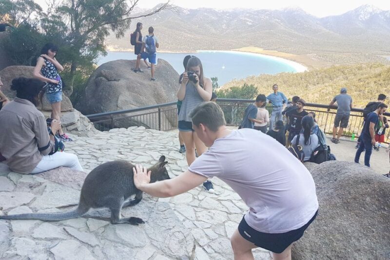 Wineglass Bay & Freycinet National Park Day Trip from Hobart - Practical Tips for Your Trip