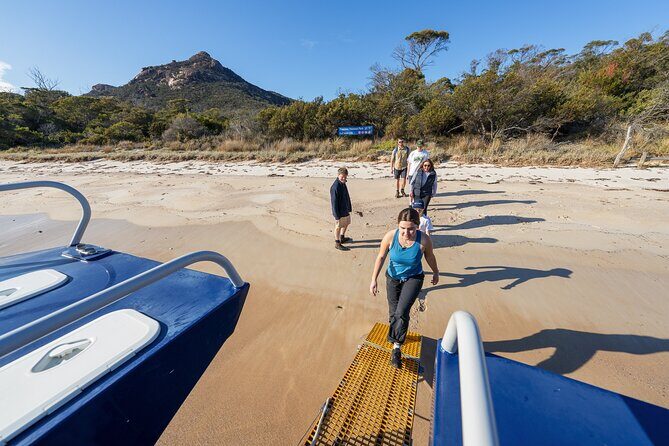Wineglass Bay Shared Cruise and Walking Tour - An In-Depth Look at the Tour
