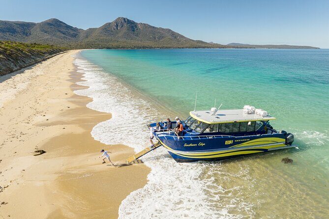 Wineglass Bay Shared Cruise and Walking Tour - The Sum Up