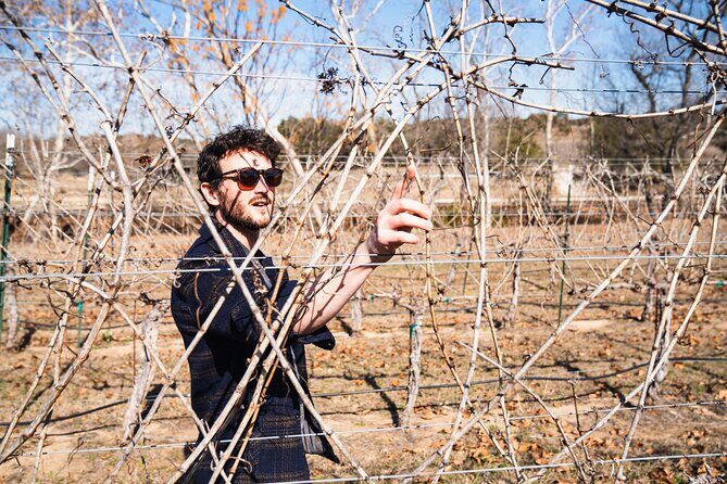 Winemaker Tour & Barrel Tasting - A Detailed Look at the Winemaker Tour & Barrel Tasting