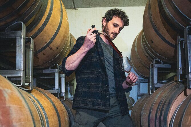 Winemaker Tour & Barrel Tasting - What the Tour Offers: A Closer Look