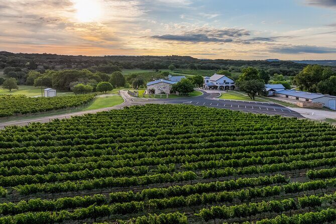 Winemaker Tour & Barrel Tasting - Final Thoughts