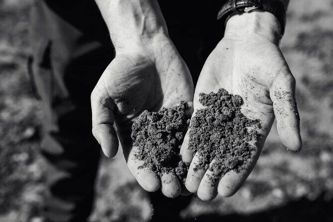 Winemaker Tour & Barrel Tasting - FAQ