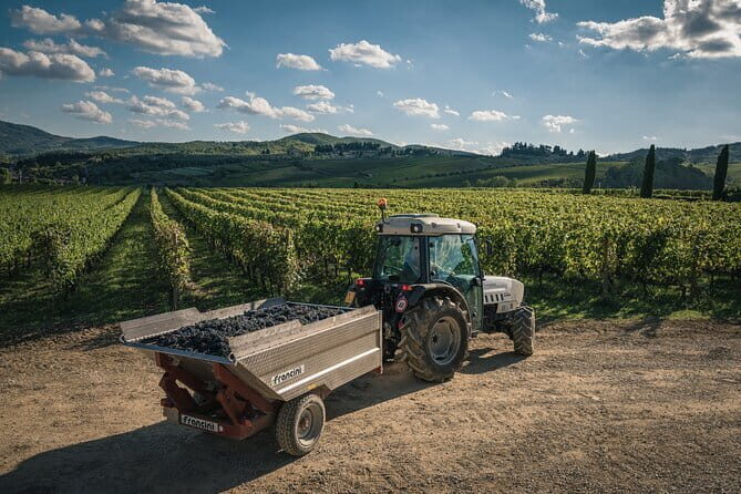 Wineries Tour and Wine Tastings in Chianti Hills from Florence - Deep Dive into the Experience