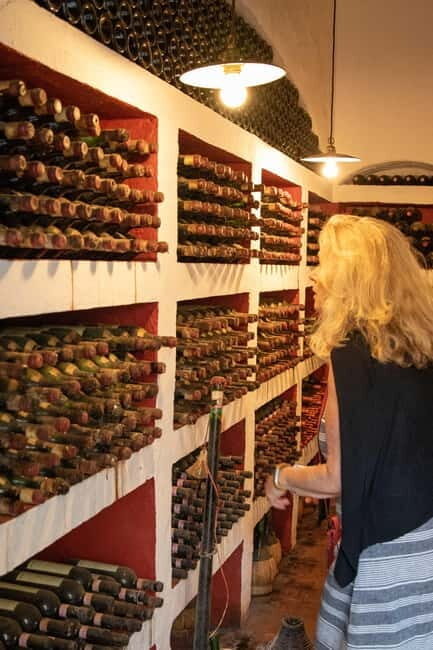 WINERY AND VINSANTAIA TOUR + TASTING + PLATTER - Introduction
