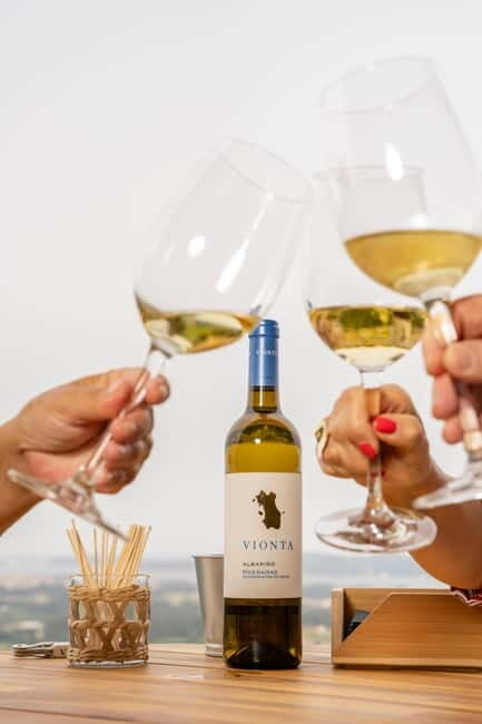 Winery in Rías Baixas with the best views of the Salnés Valley. - Who Should Consider This Tour?