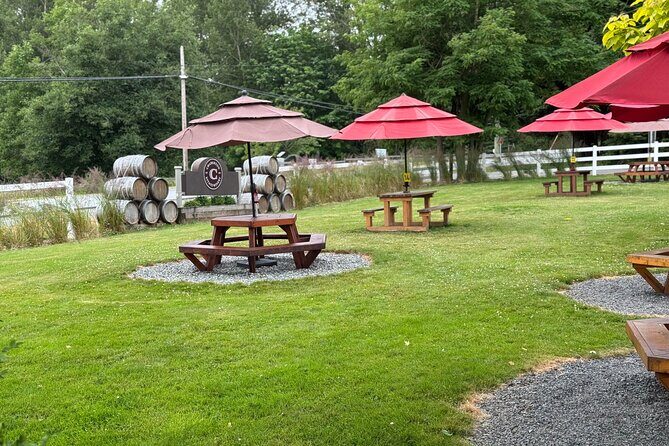 Winery Tasting at Boutique Vineyards - What Past Participants Say