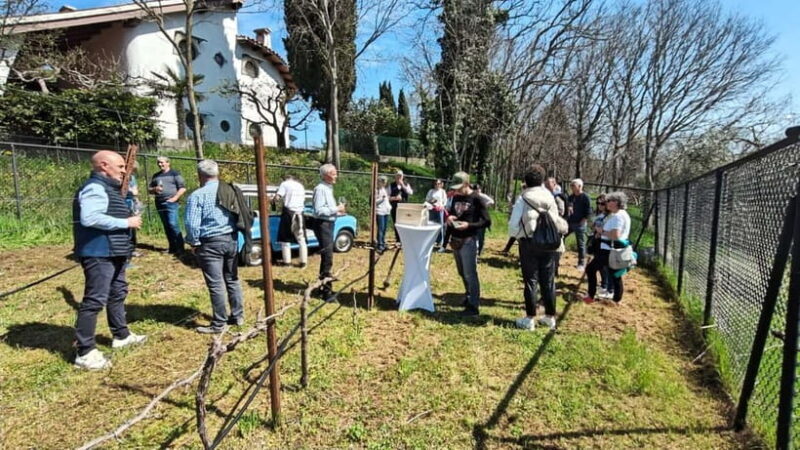 Winery tasting: tour with tasting on the estate. - Key Points
