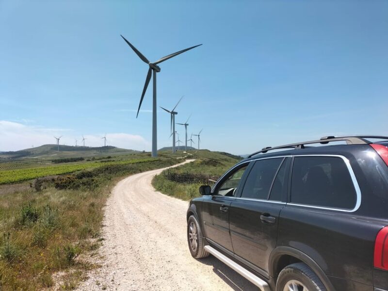 Winery, Tastings & 4WD Vineyards: Half-Day Trip from Lisbon - Exploring Lisbon’s Hidden Wine Treasures: The Winery, Tastings & 4WD Vineyards Half-Day Tour