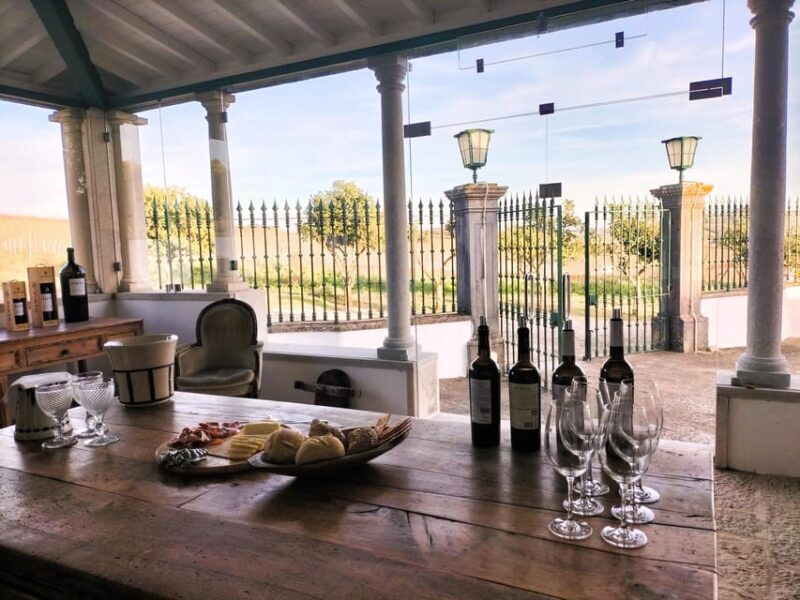 Winery, Tastings & 4WD Vineyards: Half-Day Trip from Lisbon - A Closer Look at the Experience: What’s Included and How It Works