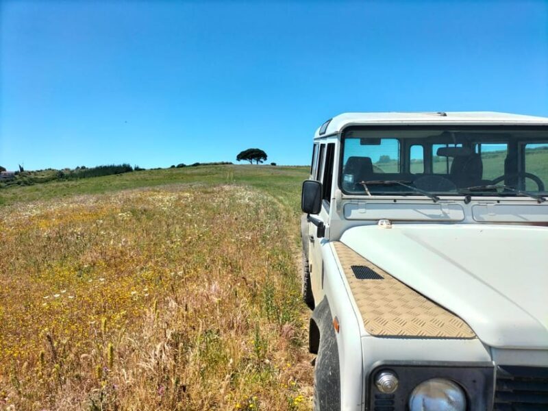 Winery, Tastings & 4WD Vineyards: Half-Day Trip from Lisbon - What’s Unique About This Tour?