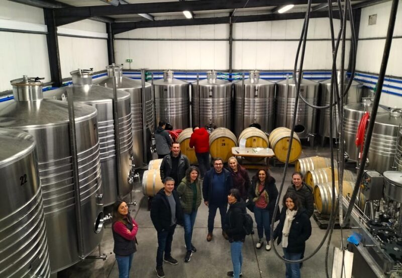 Winery, Tastings & 4WD Vineyards: Half-Day Trip from Lisbon - The Value: Is It Worth the Price?