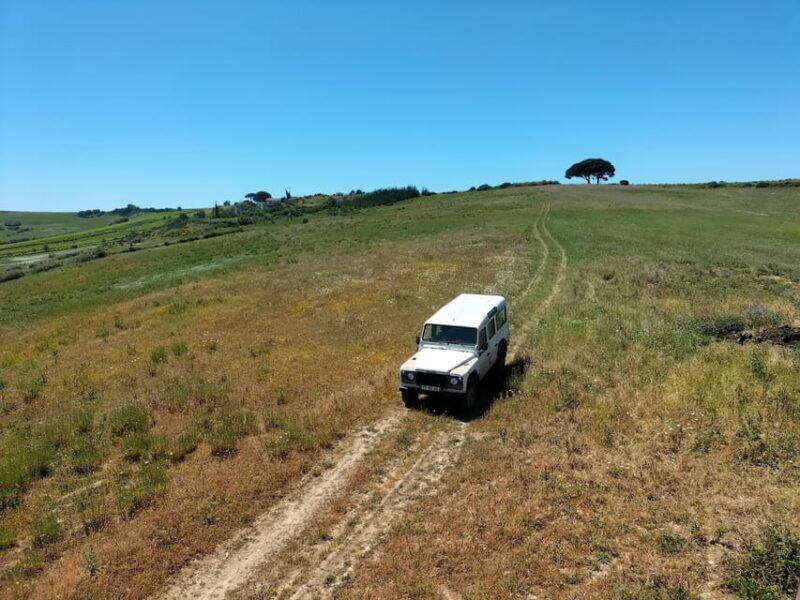 Winery, Tastings & 4WD Vineyards: Half-Day Trip from Lisbon - Who Should Consider This Tour?
