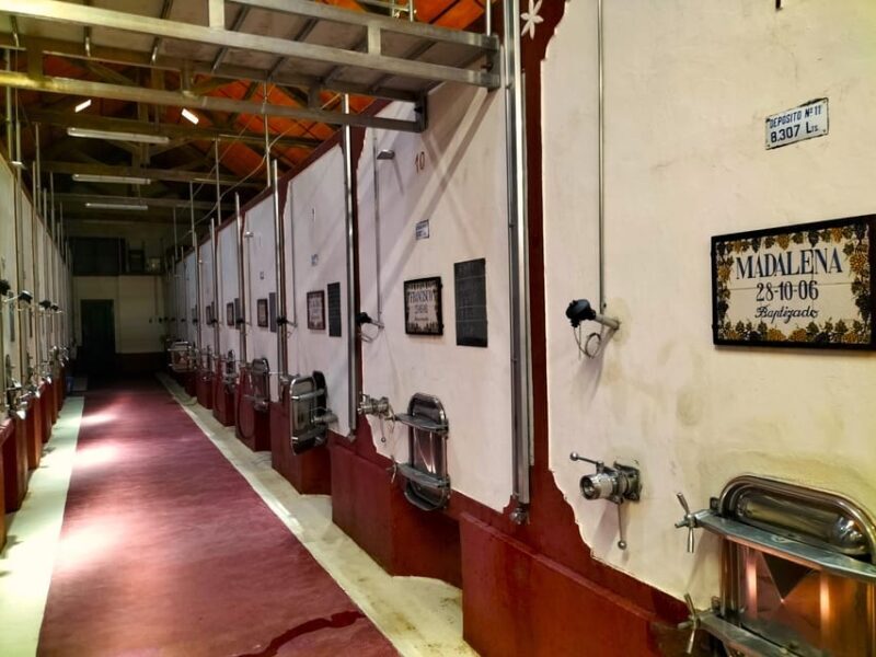 Winery, Tastings & 4WD Vineyards: Half-Day Trip from Lisbon - FAQ About the Winery, Tastings & 4WD Vineyards Half-Day Tour