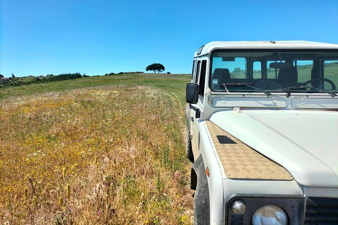 Winery, Tastings & 4WD Vineyards Ride, Half Day Trip from Lisbon - Deep Dive into the Itinerary