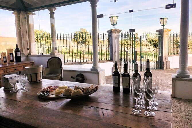 Winery, Tastings & 4WD Vineyards Ride, Half Day Trip from Lisbon - Authentic Experience or Slightly Tourist?