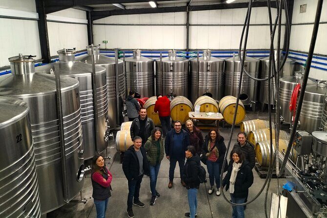 Winery, Tastings & 4WD Vineyards Ride, Half Day Trip from Lisbon - Practical Tips for Travelers