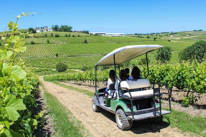 Winery, Tastings & 4WD Vineyards Ride, Half Day Trip from Lisbon - Who Should Book This Tour?