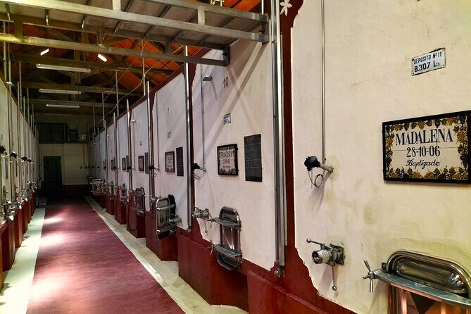 Winery, Tastings & 4WD Vineyards Ride, Half Day Trip from Lisbon - The Sum Up