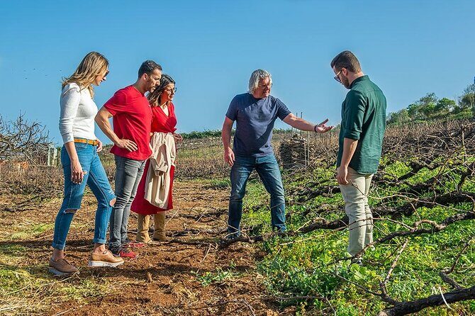 Winery Tour and Tasting in Tenerife with the Sommelier - Who Should Book This Tour?