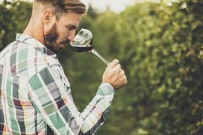 Winery Tour and Tasting in Tenerife with the Sommelier - Final Thoughts