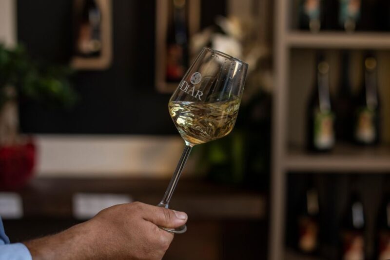 Winery tour and tasting of Sicilian organic wines in Marsala - An In-Depth Look at the Winery Tour Experience
