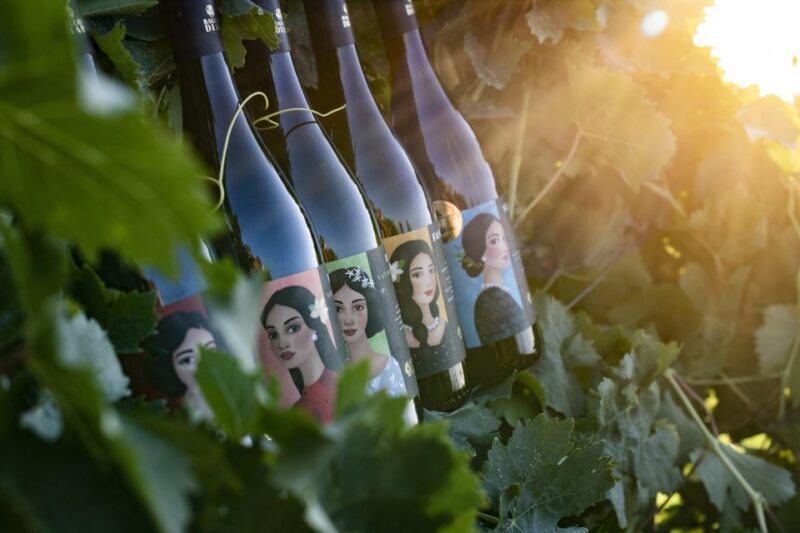 Winery tour and tasting of Sicilian organic wines in Marsala - Who Will Love This Experience?