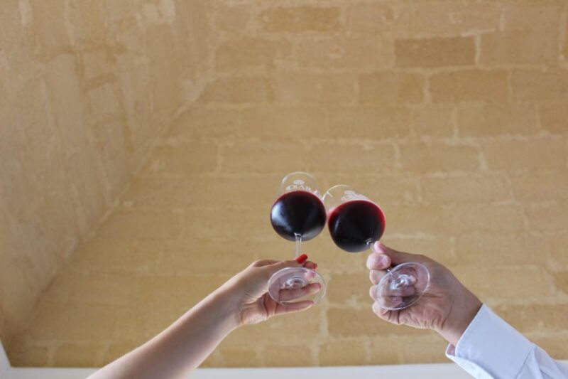 Winery tour and tasting of Sicilian organic wines in Marsala - Final Thoughts
