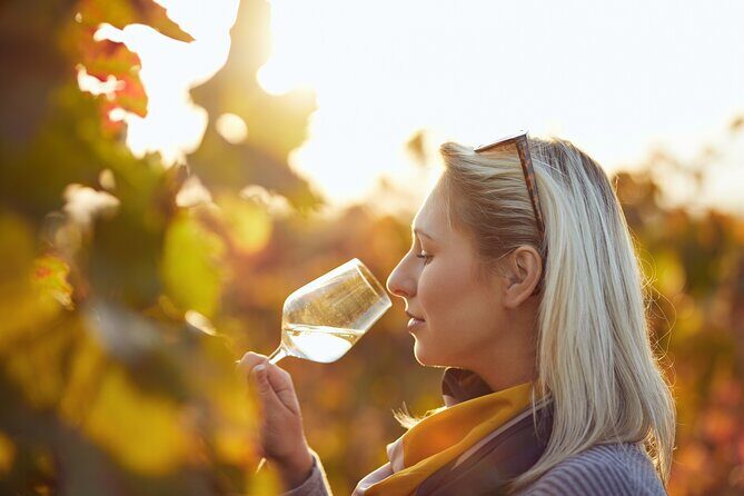 Winery Tour and Tasting with the Sommelier in KRK - Practical Details That Matter