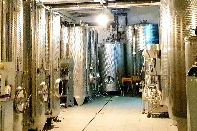 Winery Tour and Tasting with the Sommelier in KRK - The Sum Up: Who Will Love This Tour