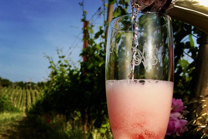 Winery tour and wine, cheese & charcuterie tasting - FAQs