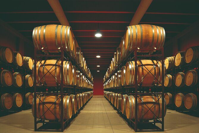 Winery Tour and Wine Tasting in Montepulciano d'Abruzzo - An In-Depth Look at the Winery Experience