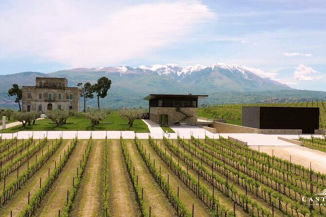 Winery Tour and Wine Tasting in Montepulciano d'Abruzzo - FAQs