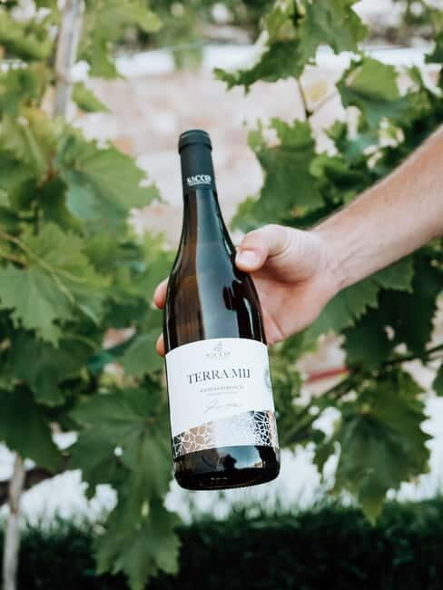 Winery tour and wine tasting - A Deep Dive into the Experience