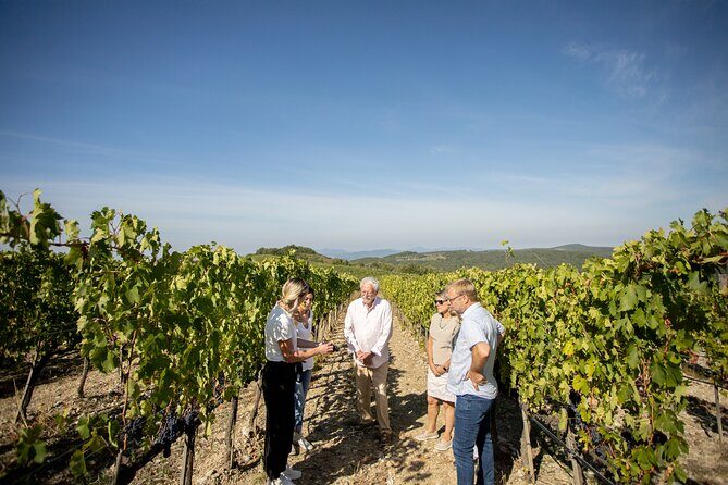 Winery Tour & Gourmet Tasting in Montalcino - Who Should Book This Tour?