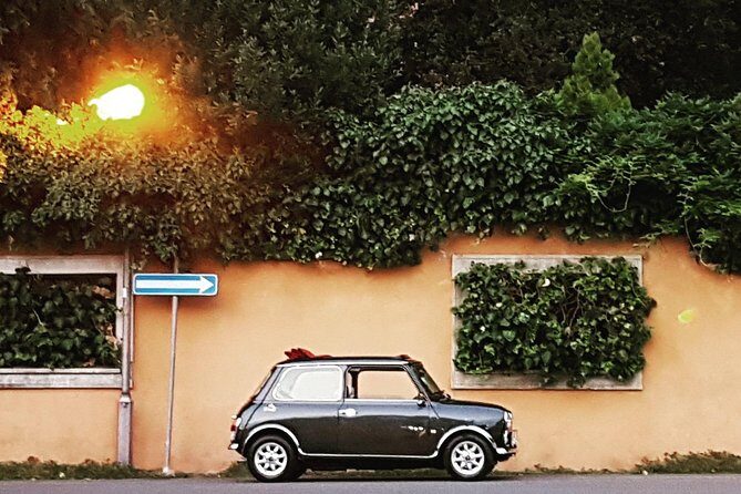 Winery Tour in Mini Cooper Classic Cabrio wine testing and lunch - The Sum Up